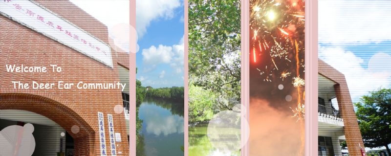 Broneo Mullet :: The Deer Ear Community Developing Association